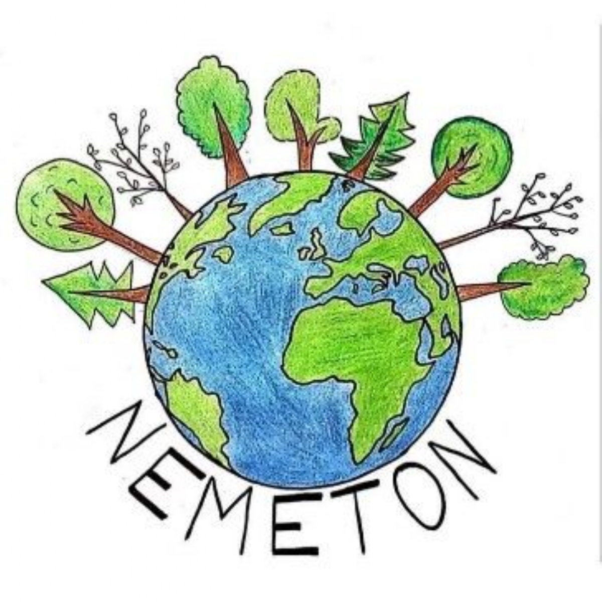 Devonport High School For Girls Dhsgs Young Enterprise Team Nemeton